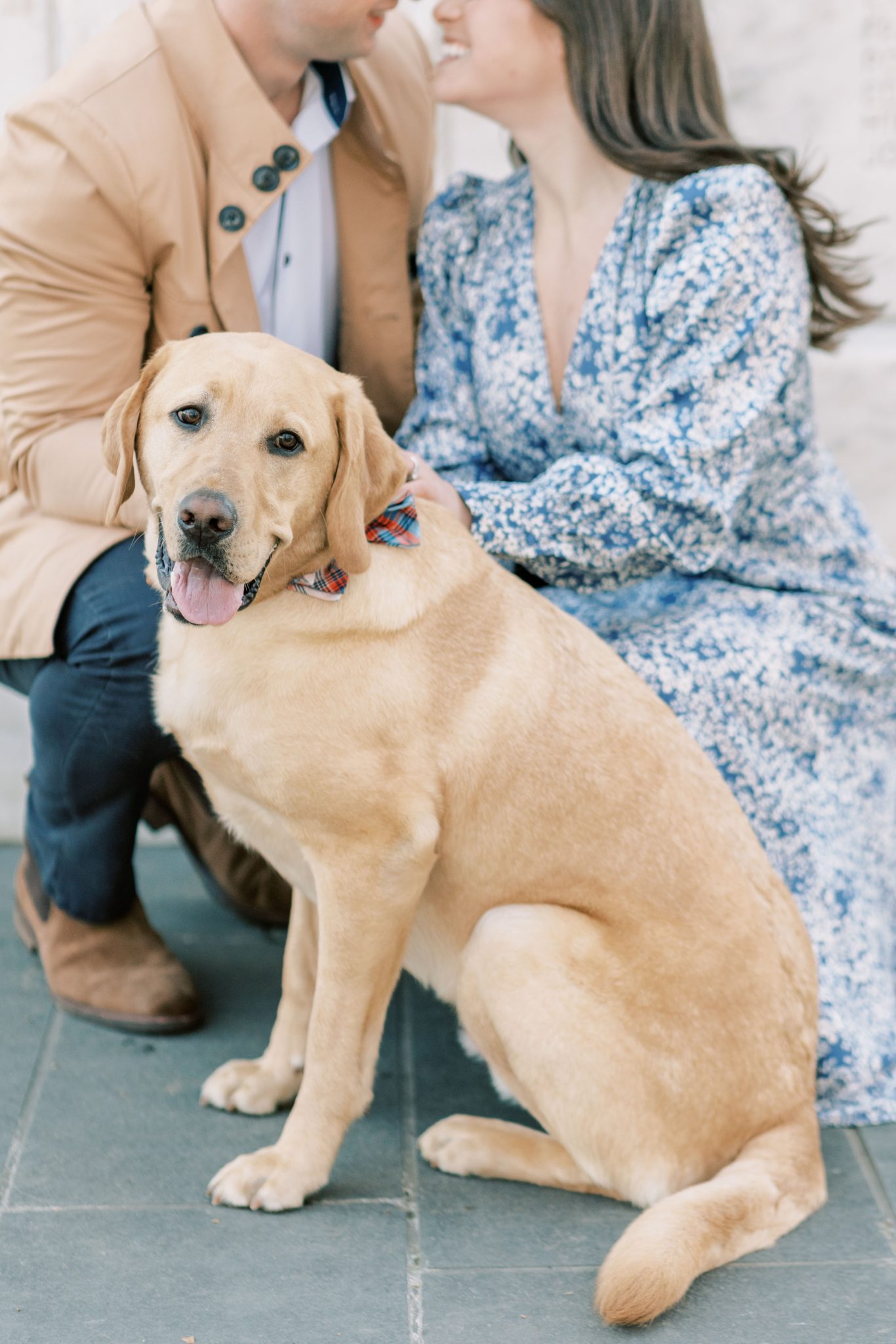 5 Tips to Prep Your Pup for Your Photo Shoot!